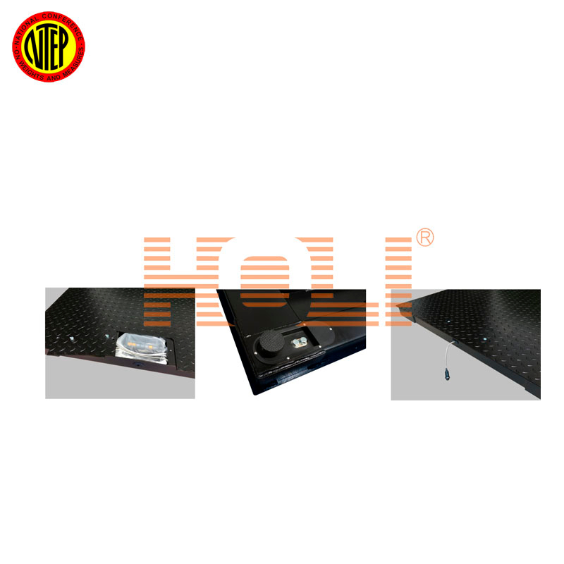 HOLI Scale FS NTEP Certified Floor Scale Mild Steel